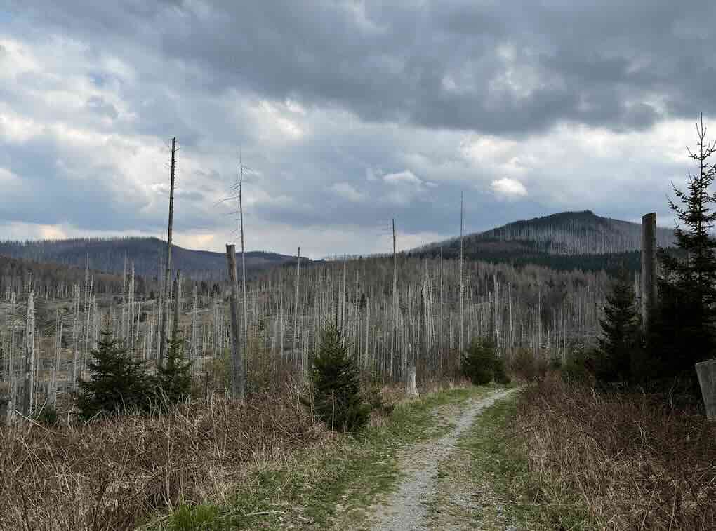 Urlaub im Harz – Joy in Creation
